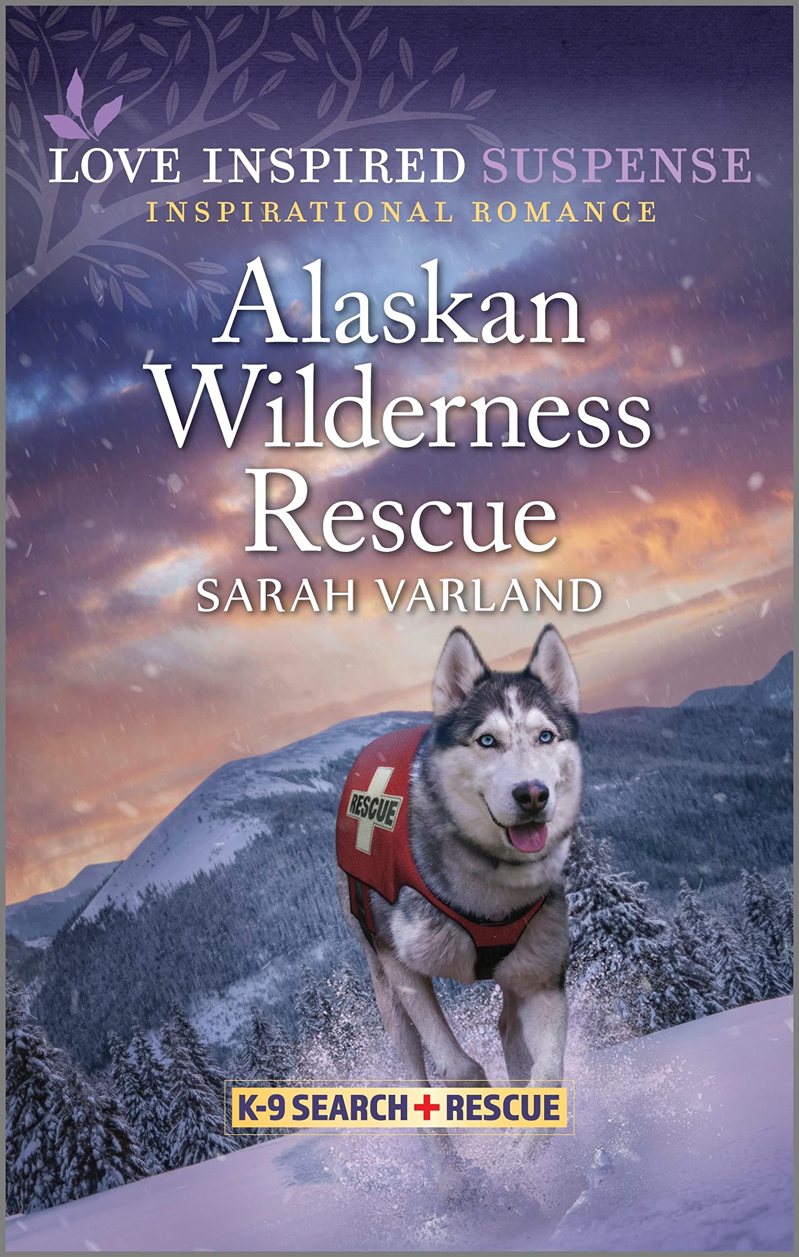 Alaskan Wilderness Rescue + Giveaway – Kav's Best Reads